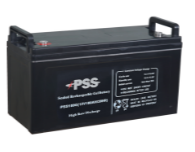 PSS 12v100ah Gel Battery - Bulkhub